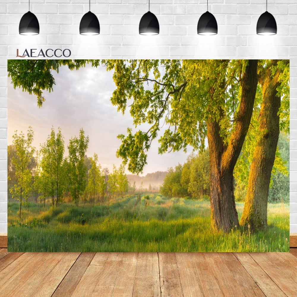 Spring Scenery Backdrop Rural Forest Trees Woodland Meadow Grass Flower ...