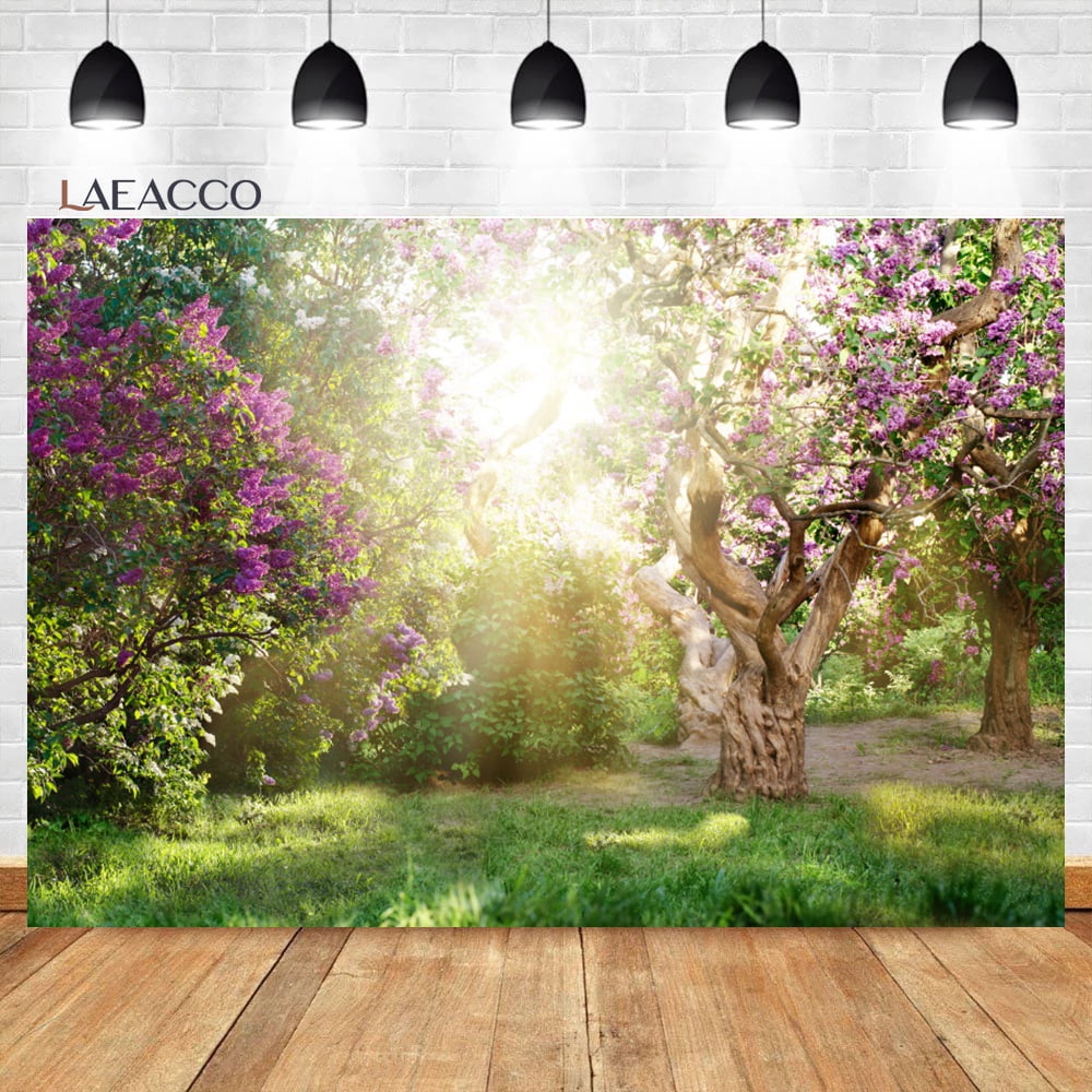 Spring Scenery Backdrop Rural Forest Trees Woodland Meadow Grass Flower ...