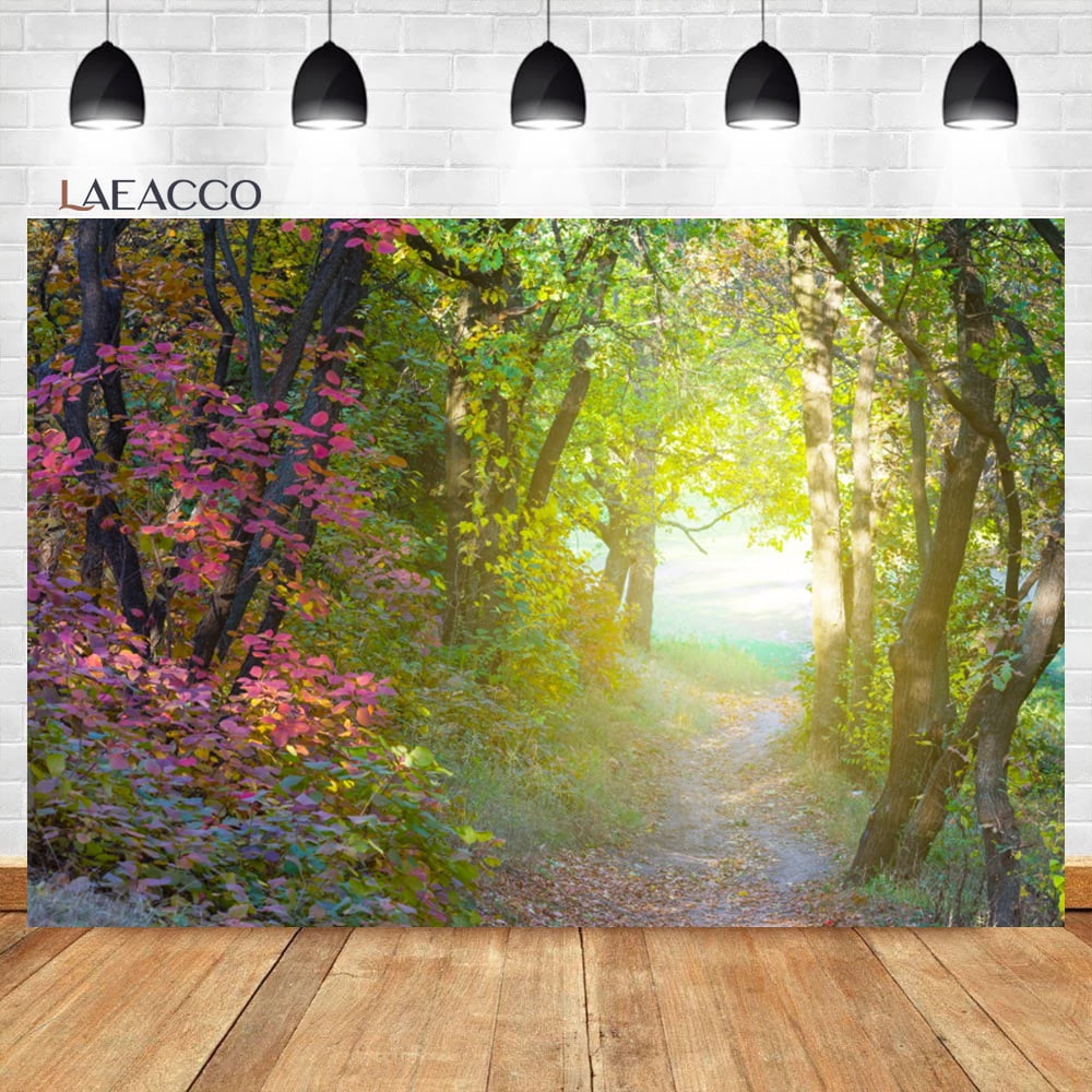 Spring Scenery Backdrop Rural Forest Trees Woodland Meadow Grass Flower ...