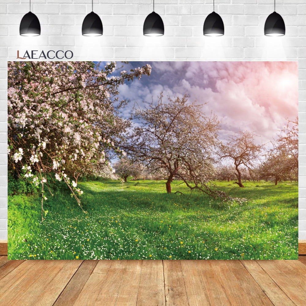 Spring Scenery Backdrop Rural Forest Trees Woodland Meadow Grass Flower ...