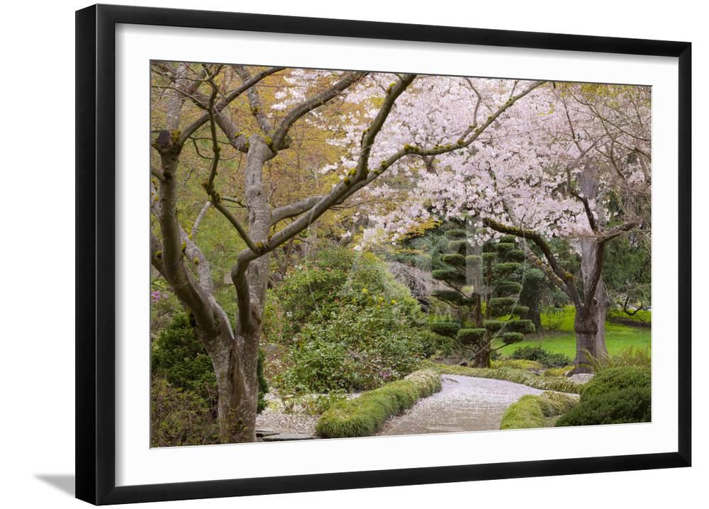 Spring Scenic in Lithia Park, Ashland, Oregon, USA, Botanical Scenic ...