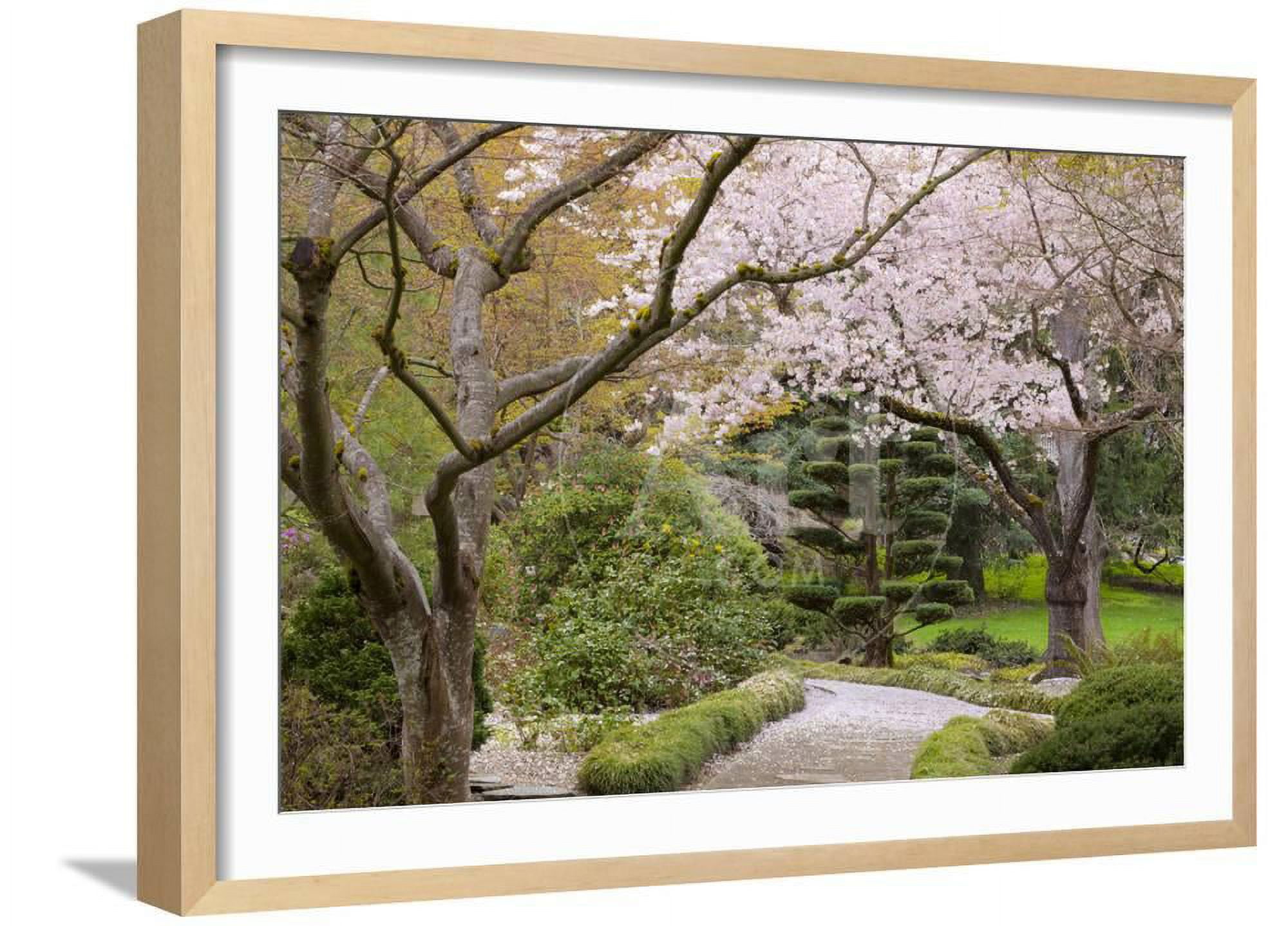 Spring Scenic in Lithia Park, Ashland, Oregon, USA, Botanical Scenic ...