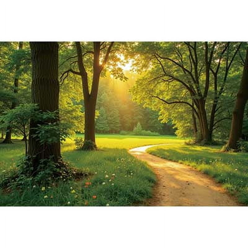 Spring Scery Gre Trees Background Nature Forest Grass Flower Field ...