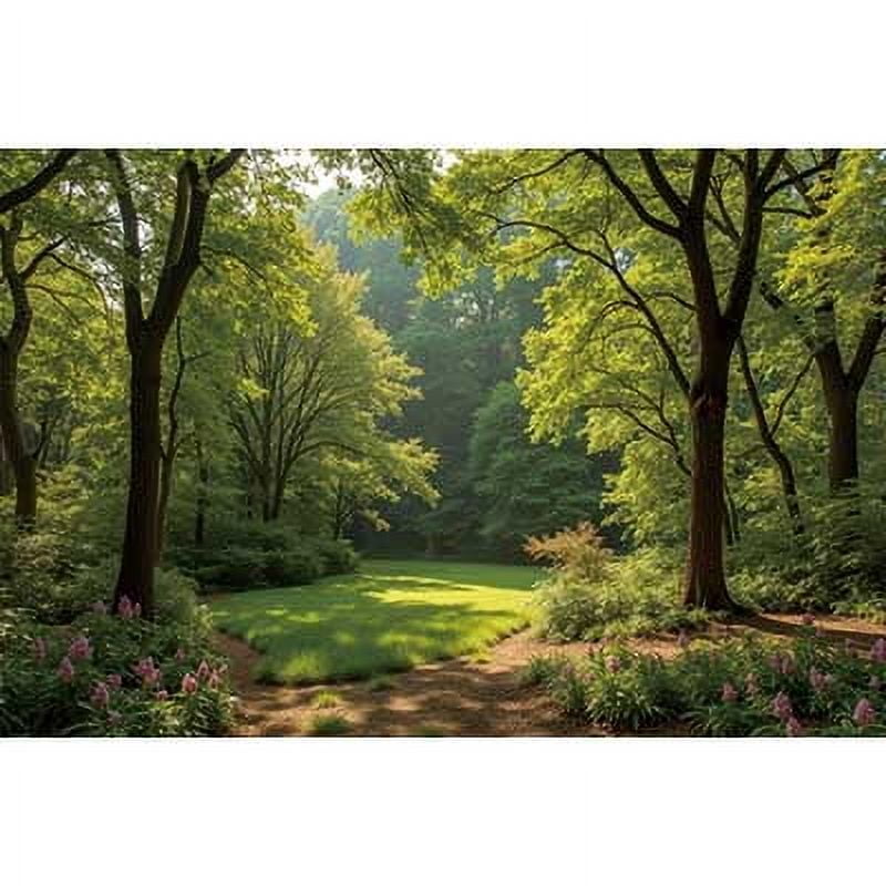 Spring Scery Gre Trees Background Nature Forest Grass Flower Field ...