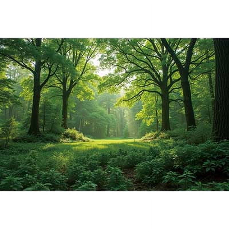 Spring Scery Gre Trees Background Nature Forest Grass Flower Field ...