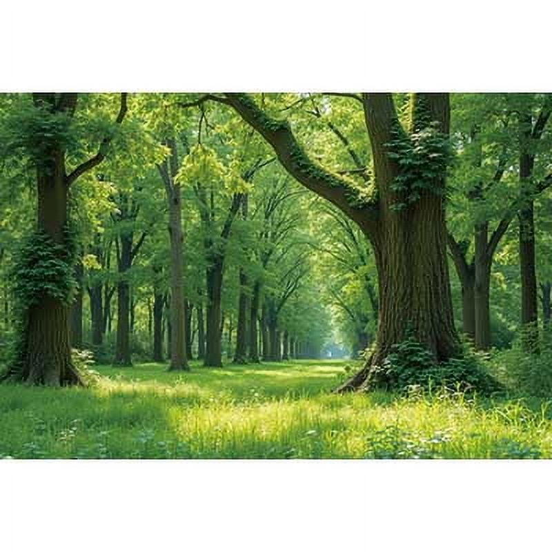 Spring Scery Gre Trees Background Nature Forest Grass Flower Field ...