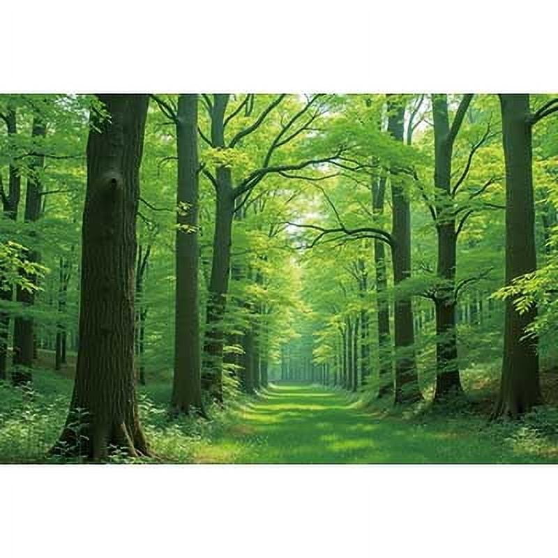 Spring Scery Gre Trees Background Nature Forest Grass Flower Field ...
