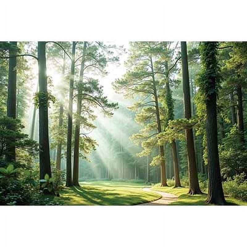 Spring Scery Gre Trees Background Nature Forest Grass Flower Field ...