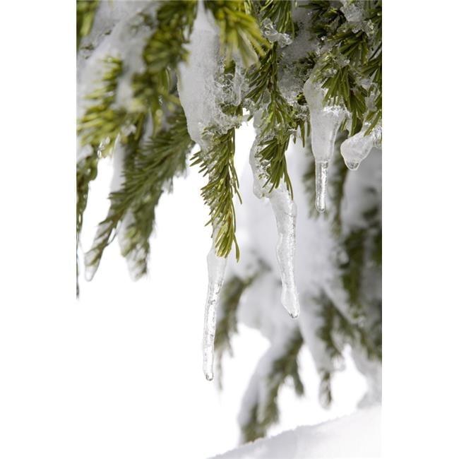 Spring Snow Tree Poster Print - 13 x 20 - Walmart.com