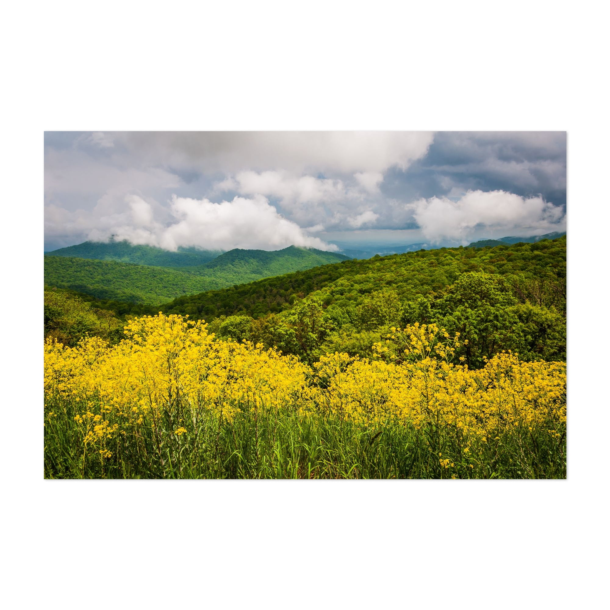 Spring Storms - Virginia Photography Nature Landscape Flowers Mountain ...