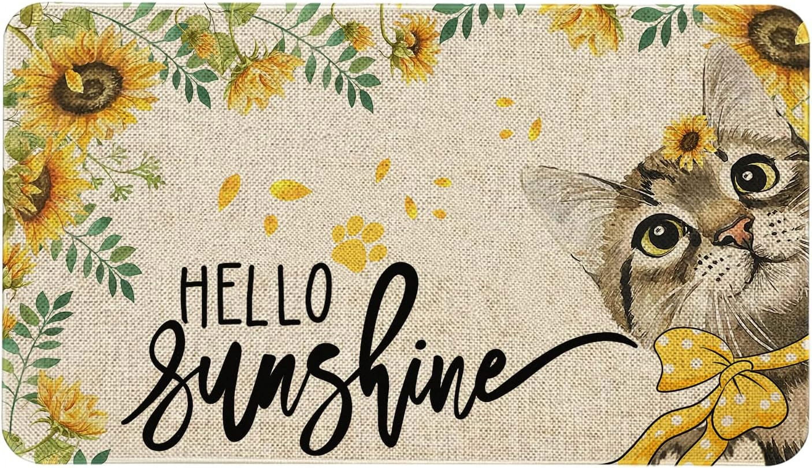 Spring Summer Door Mat 30 X 17 Inch Hello Sunshine Cat Doormat Indoor ...
