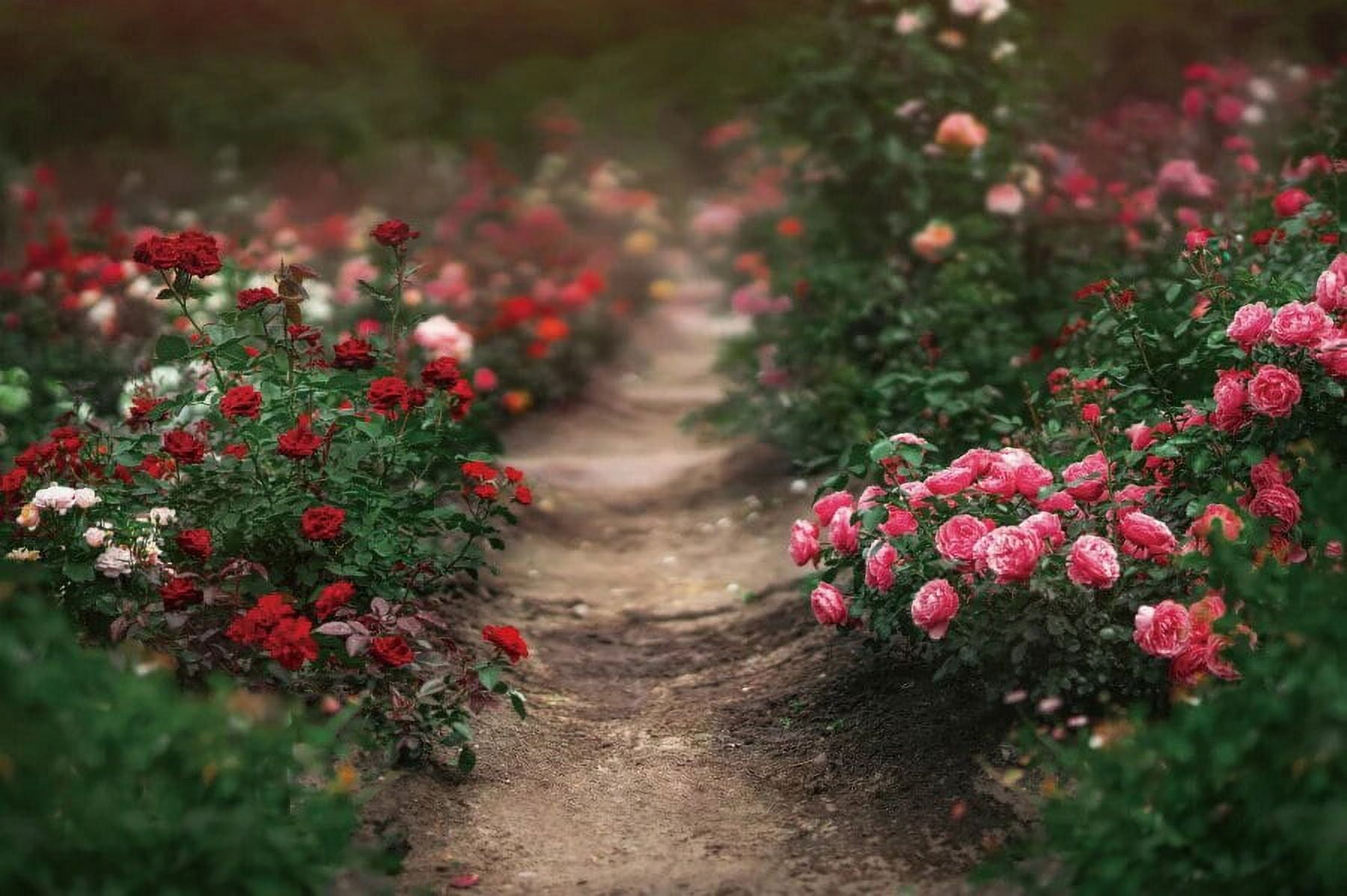 Spring Theme Photography Backdrop Mountain Path Flowers Outdoor Scenery ...