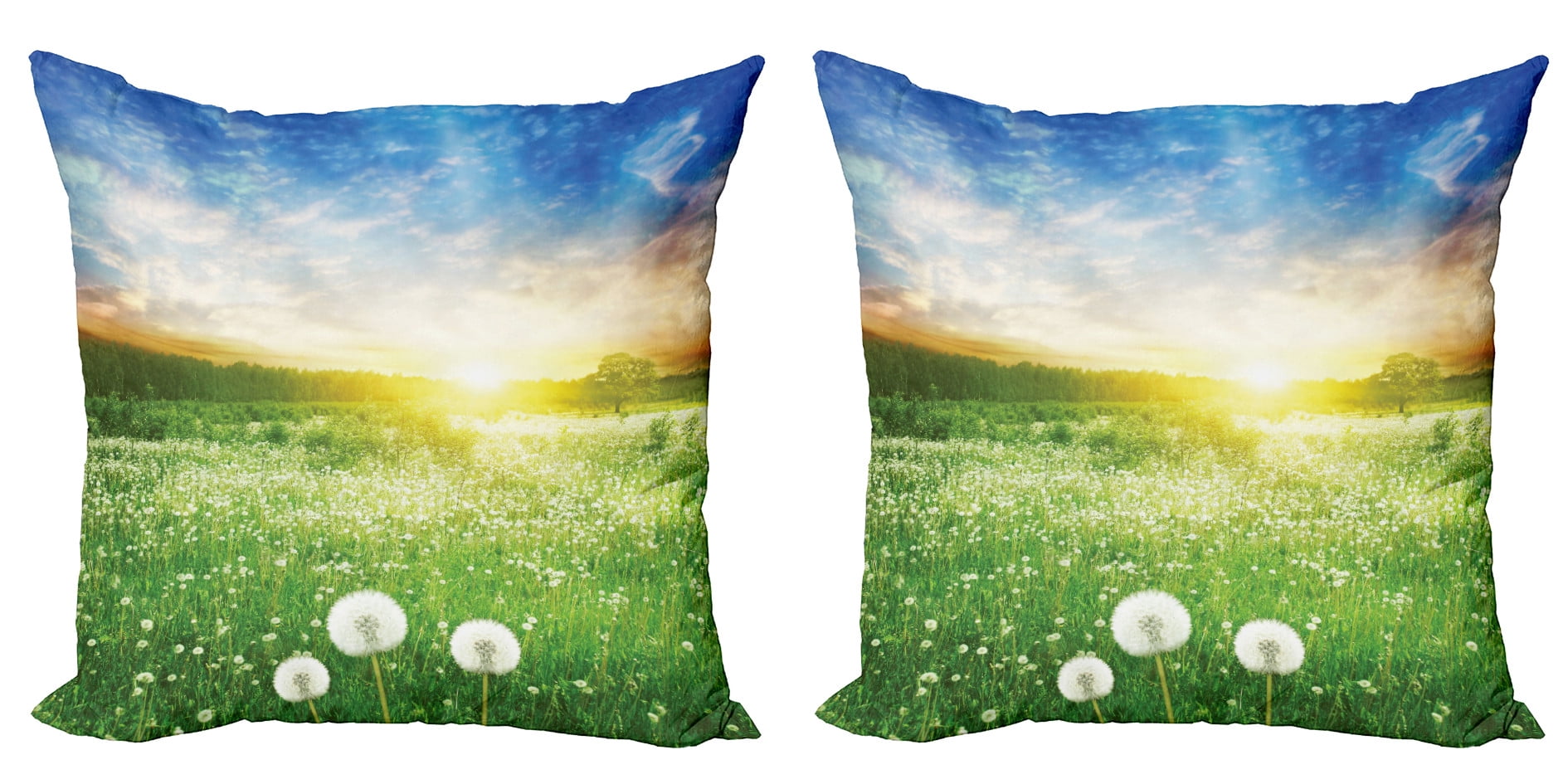 Ambesonne Spring Throw Pillow Cover 2 Pack, Dandelion Flower Field, 16 ...