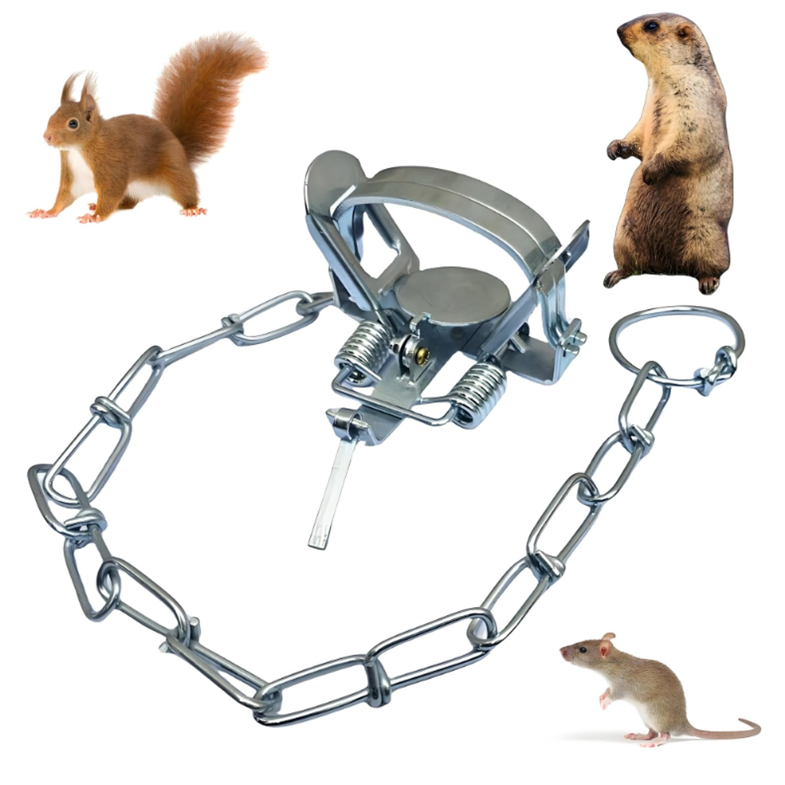 Spring Traps for Small 𝐀𝐧𝐢𝐦𝐚𝐥 𝐓𝐫𝐚𝐩𝐬 Trap Rat Traps Mole Trap for Farms ...