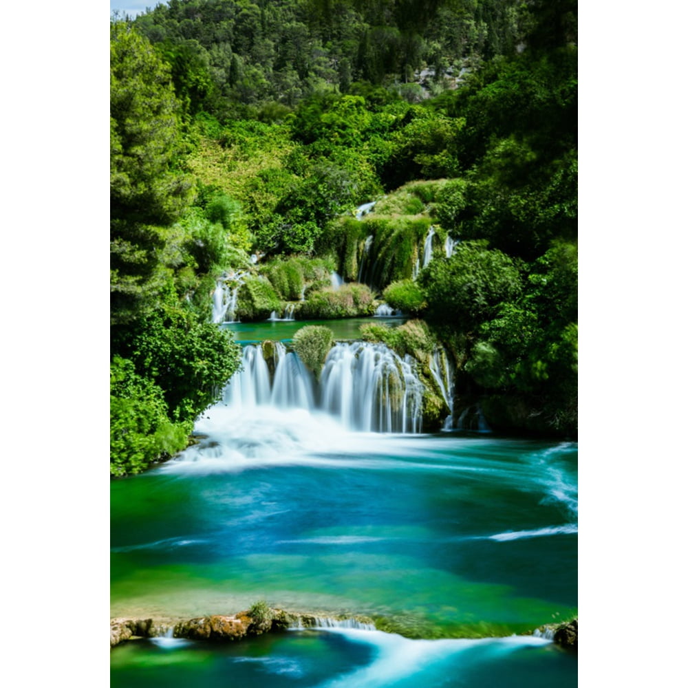 Spring Tropical Forest Scene Backdrop Rainforest Nature Landscape ...