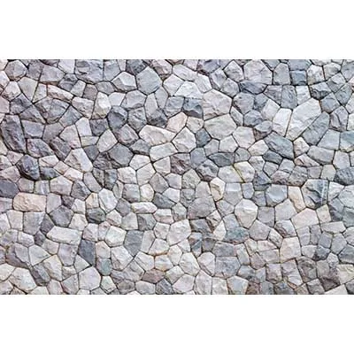 Spring Village Rural Town Backdrops Photography Floral Park Gard ...