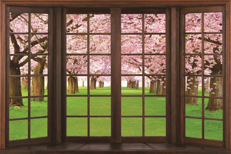 Spring Window Backdrop Garden Sunshine Greenery Floral Forest Scenery ...