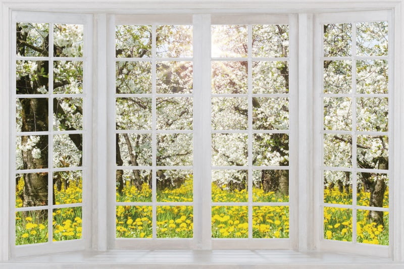 Spring Window Backdrop Garden Sunshine Greenery Floral Forest Scenery ...