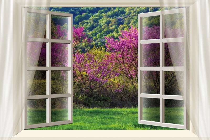 Spring Window Backdrop Garden Sunshine Greenery Floral Forest Scenery ...