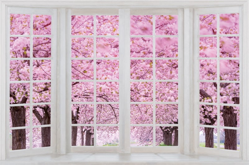 Spring Window Backdrop Garden Sunshine Greenery Floral Forest Scenery ...