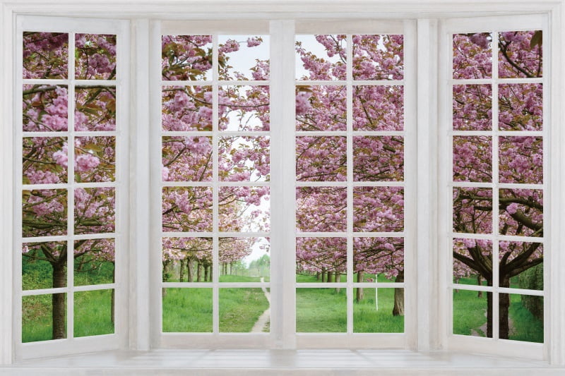 Spring Window Backdrop Garden Sunshine Greenery Floral Forest Scenery ...