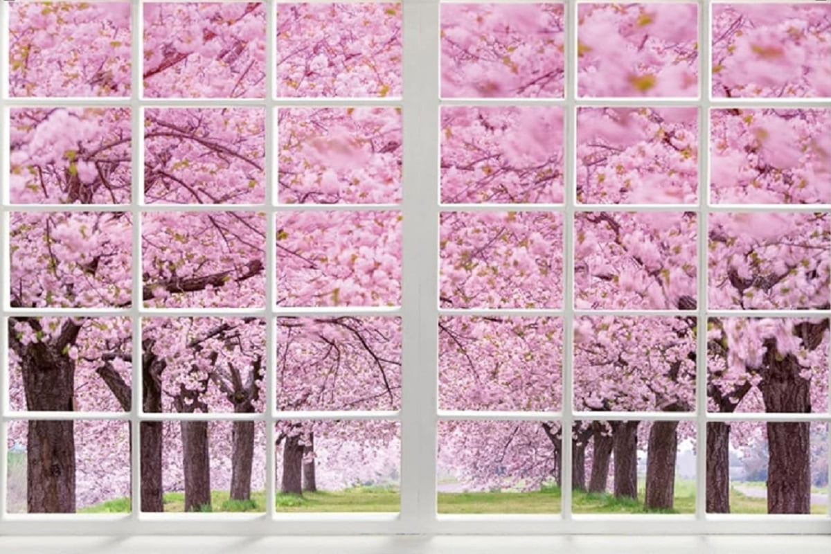 Spring Window Photography Backdrop Pink Cherry Blossoms Scenery Garden ...