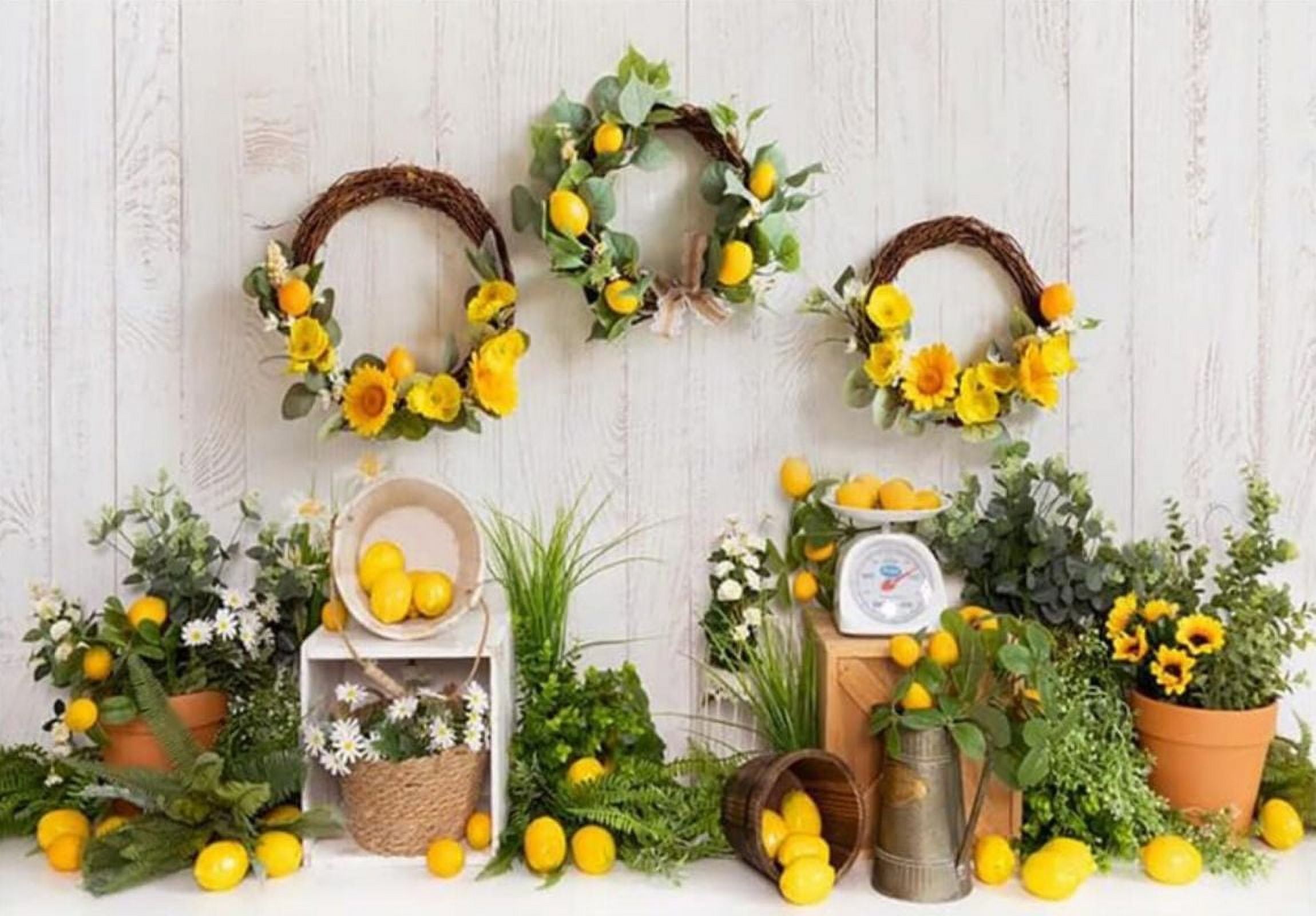 Spring Window Scenery Photography Backdrop Floral Green Forest Natural ...