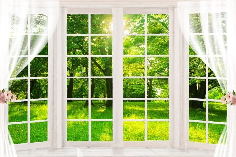 Spring Window Scenery Photography Backdrop White Windowsill Floral ...