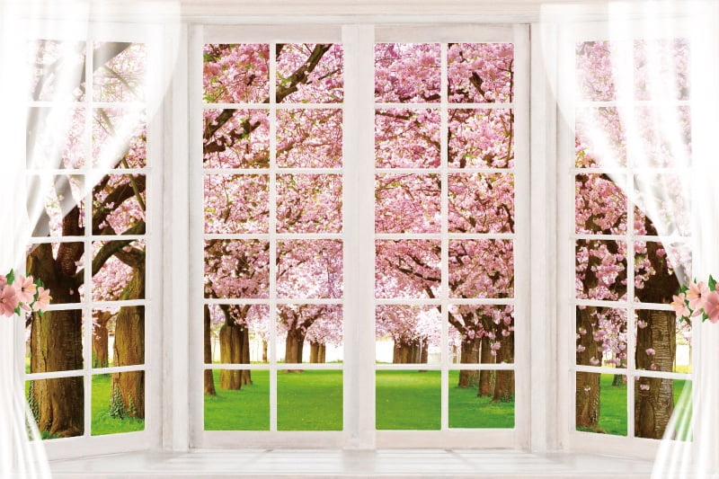 Spring Window Scenery Photography Backdrop White Windowsill Floral ...