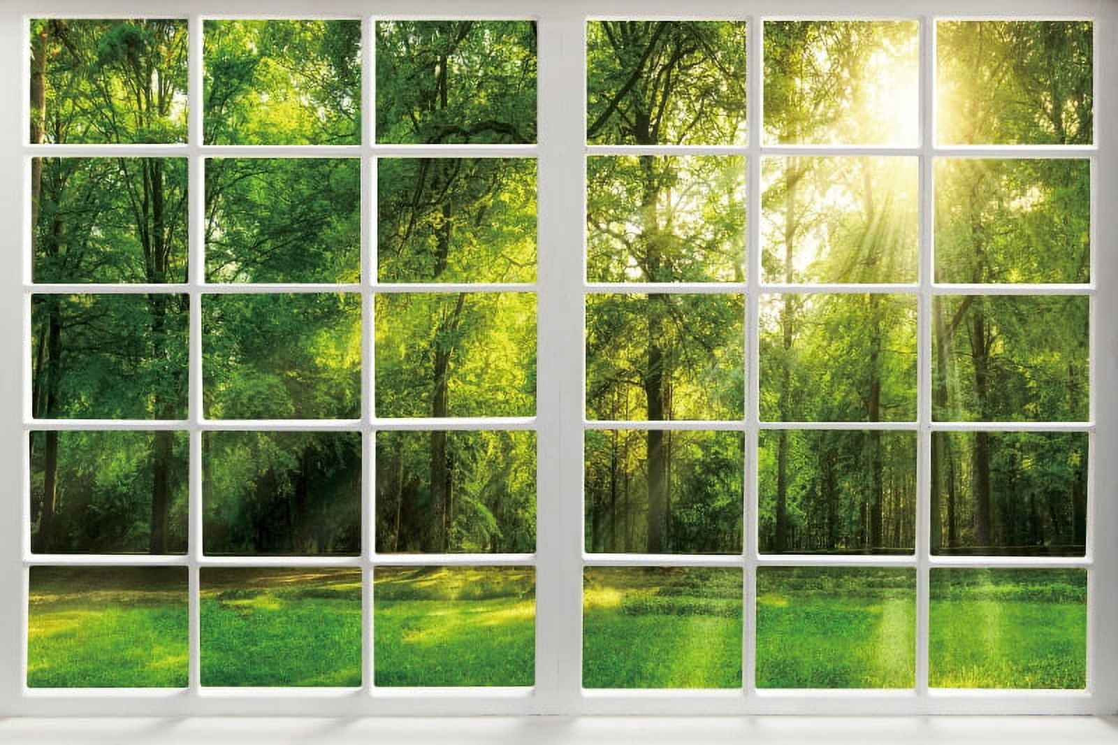 Spring Window Scenery Photography Backdrop White Windowsill Floral ...