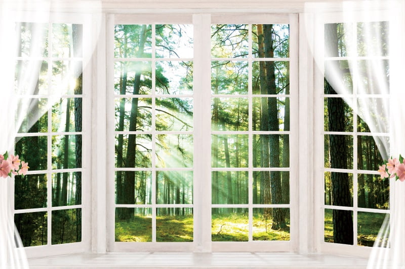 Spring Window Scenery Photography Backdrop White Windowsill Floral ...