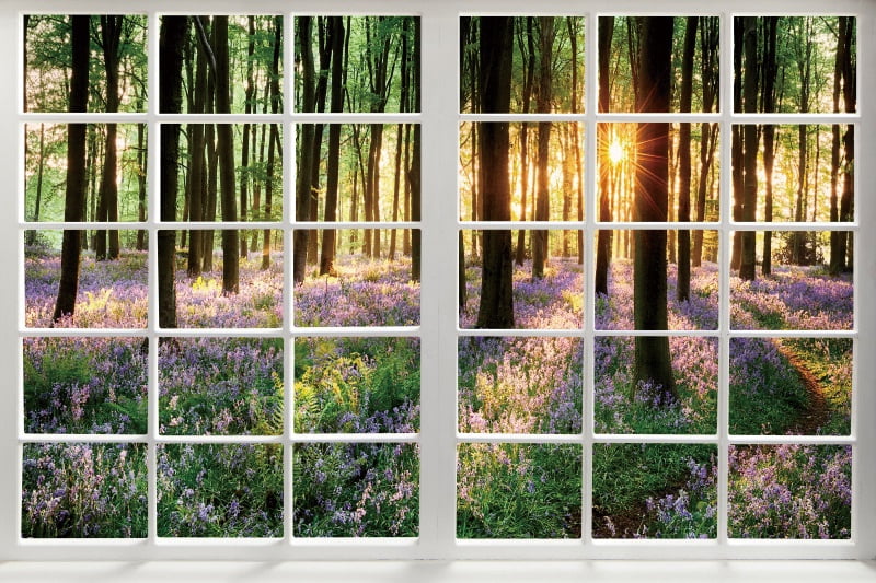 Spring Window Scenery Photography Backdrop White Windowsill Floral ...
