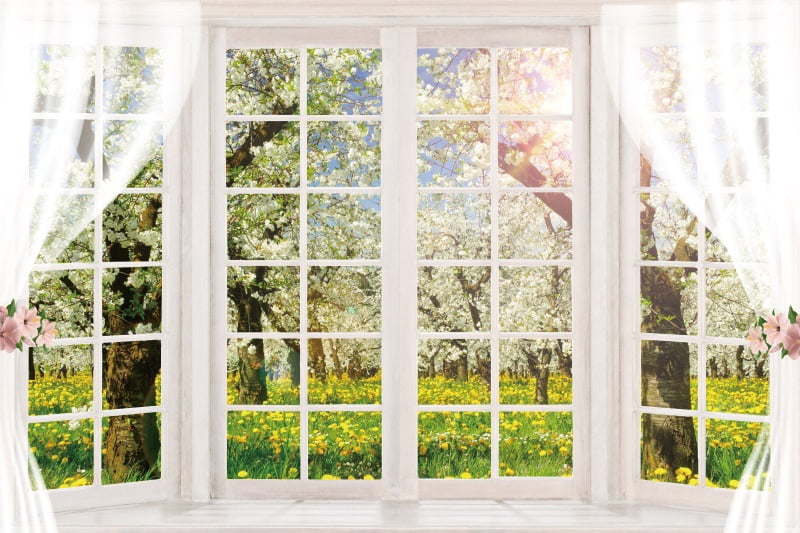 Spring Window Scenery Photography Backdrop White Windowsill Floral ...