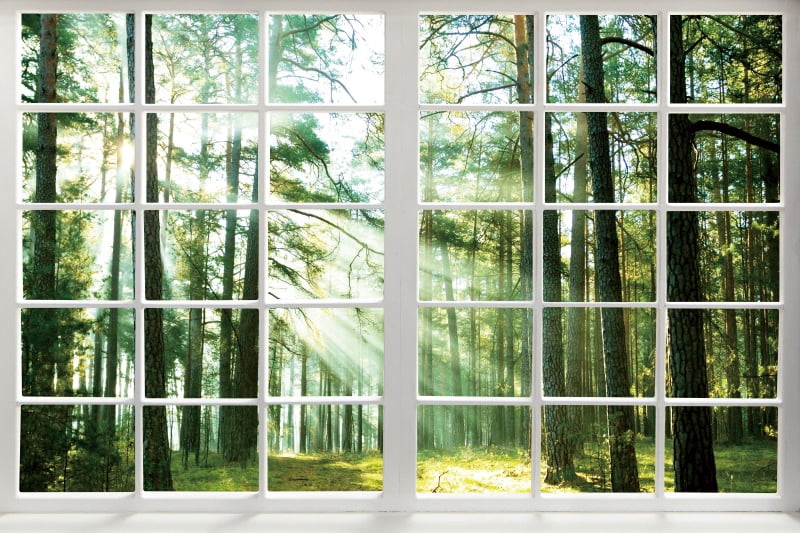 Spring Window Scenery Photography Backdrop White Windowsill Floral ...
