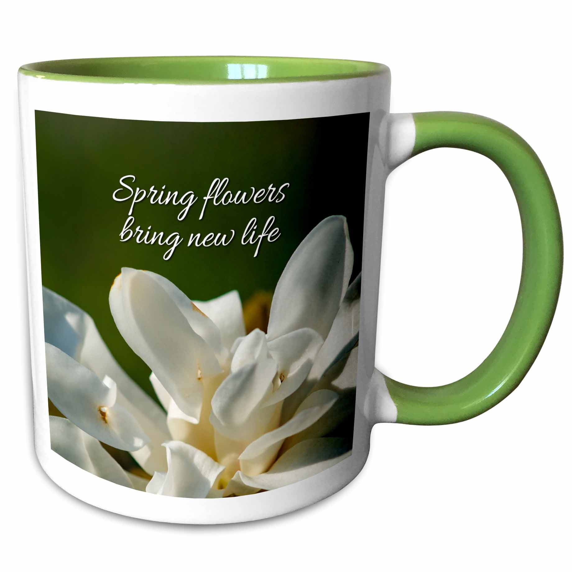 Spring flowers bring new life. White magnolia flower in full bloom 11oz ...