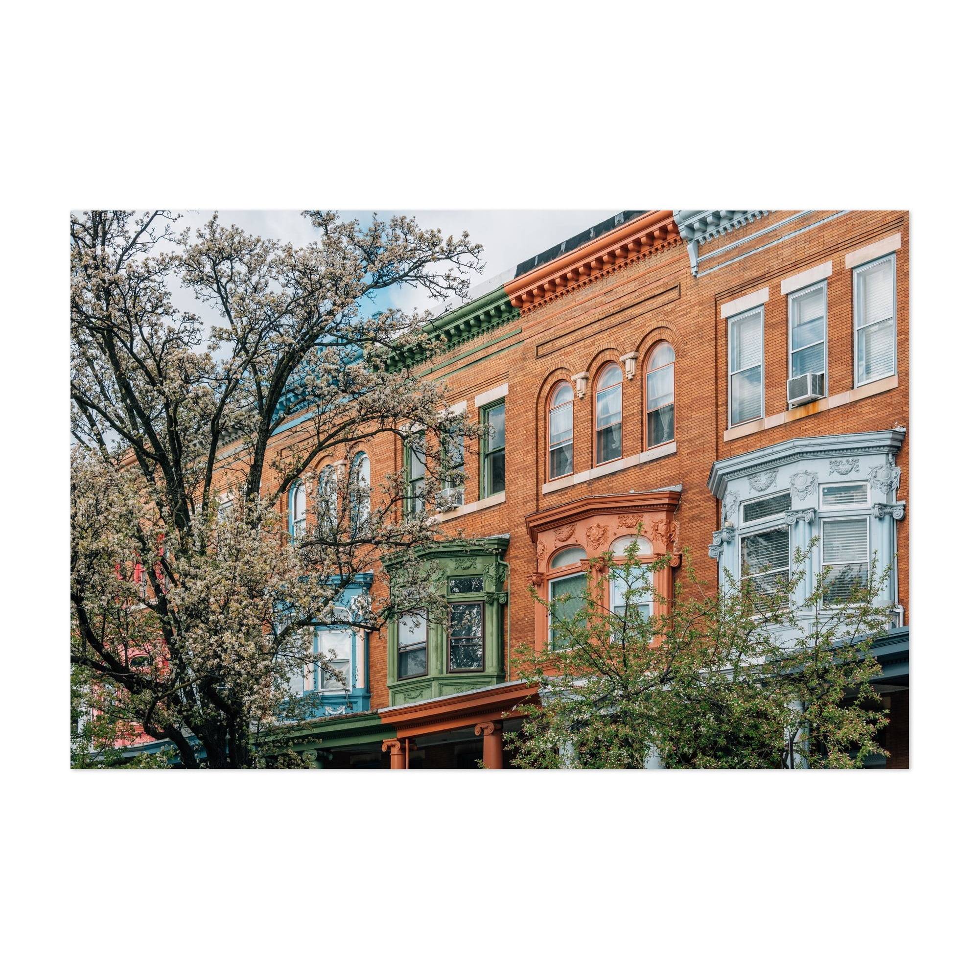 Spring in Charles Village - Baltimore Maryland Photography Unframed ...