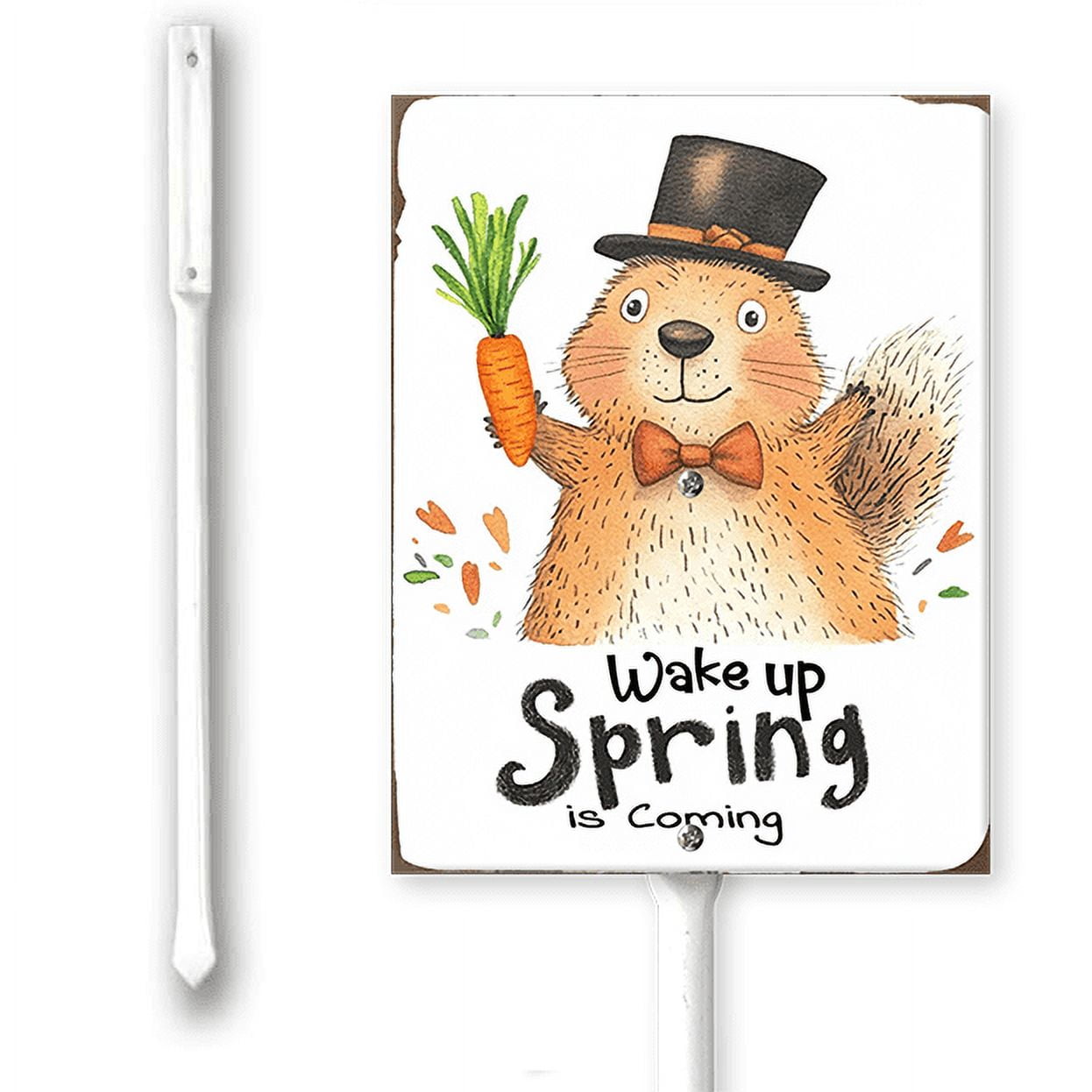 Spring is Coming Wake Up Yard Sign With Stakes Outdoor Lawn Yard Signs ...