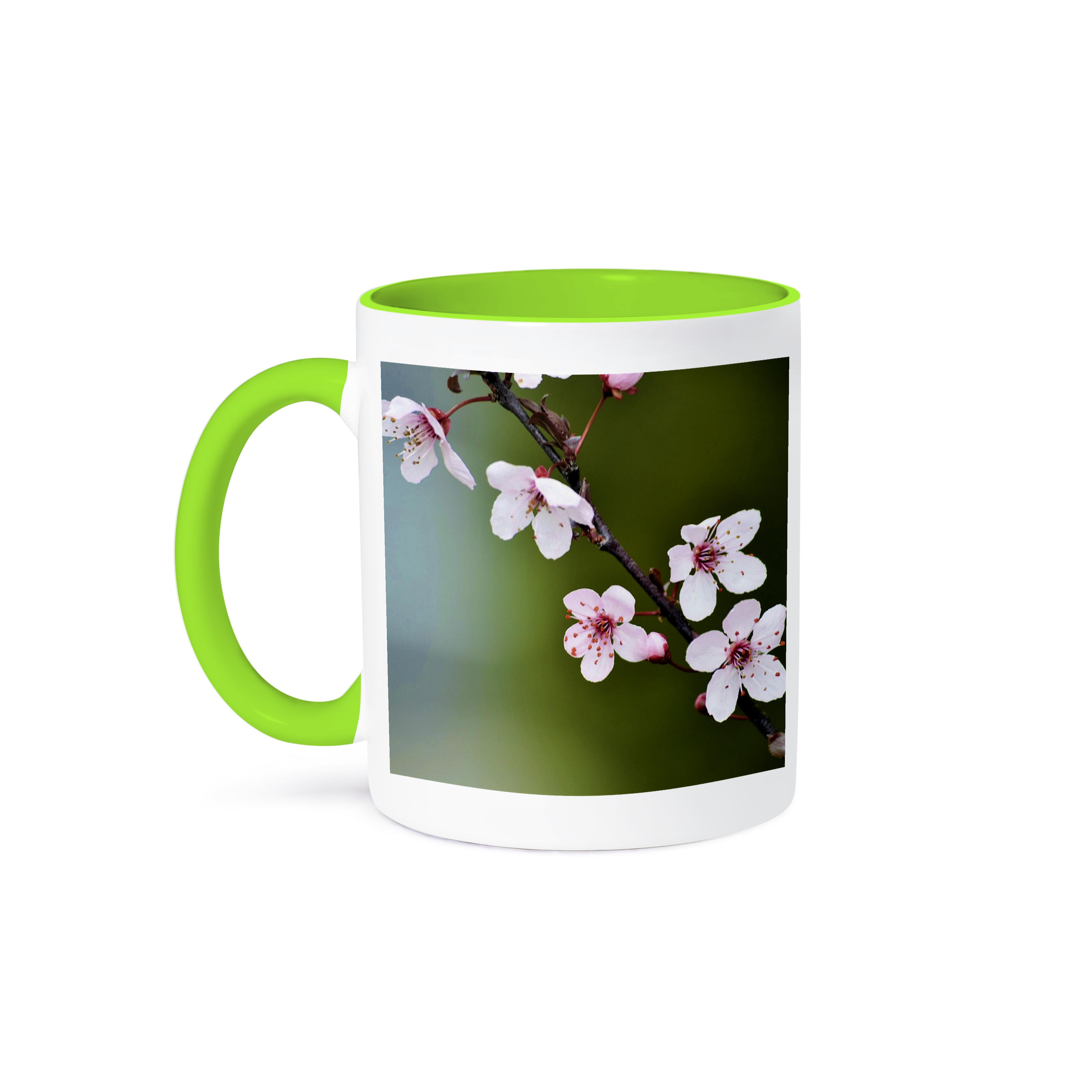 3dRose, Spring is Here- Cherry Blossom Flowers- Floral Photography ...