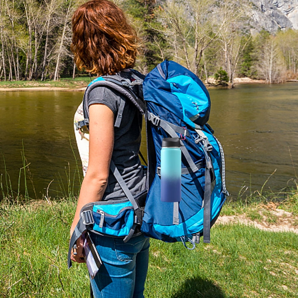 Spring-loaded 5pcs Aluminum Alloy Carabiner Spring Clip Hook Spring ...