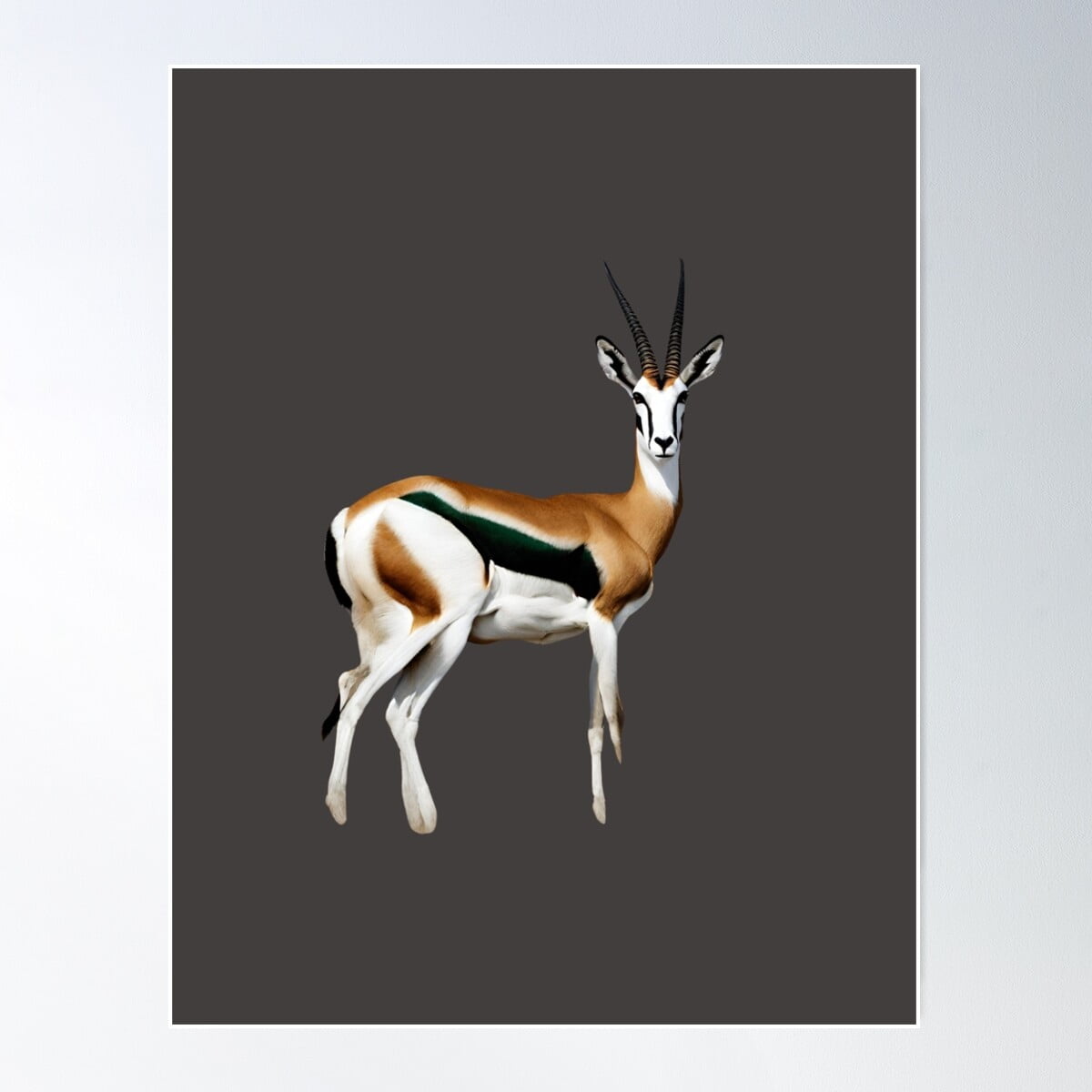 Springbok African Wild Life Safari Desert Animal Poster Wall Art ...