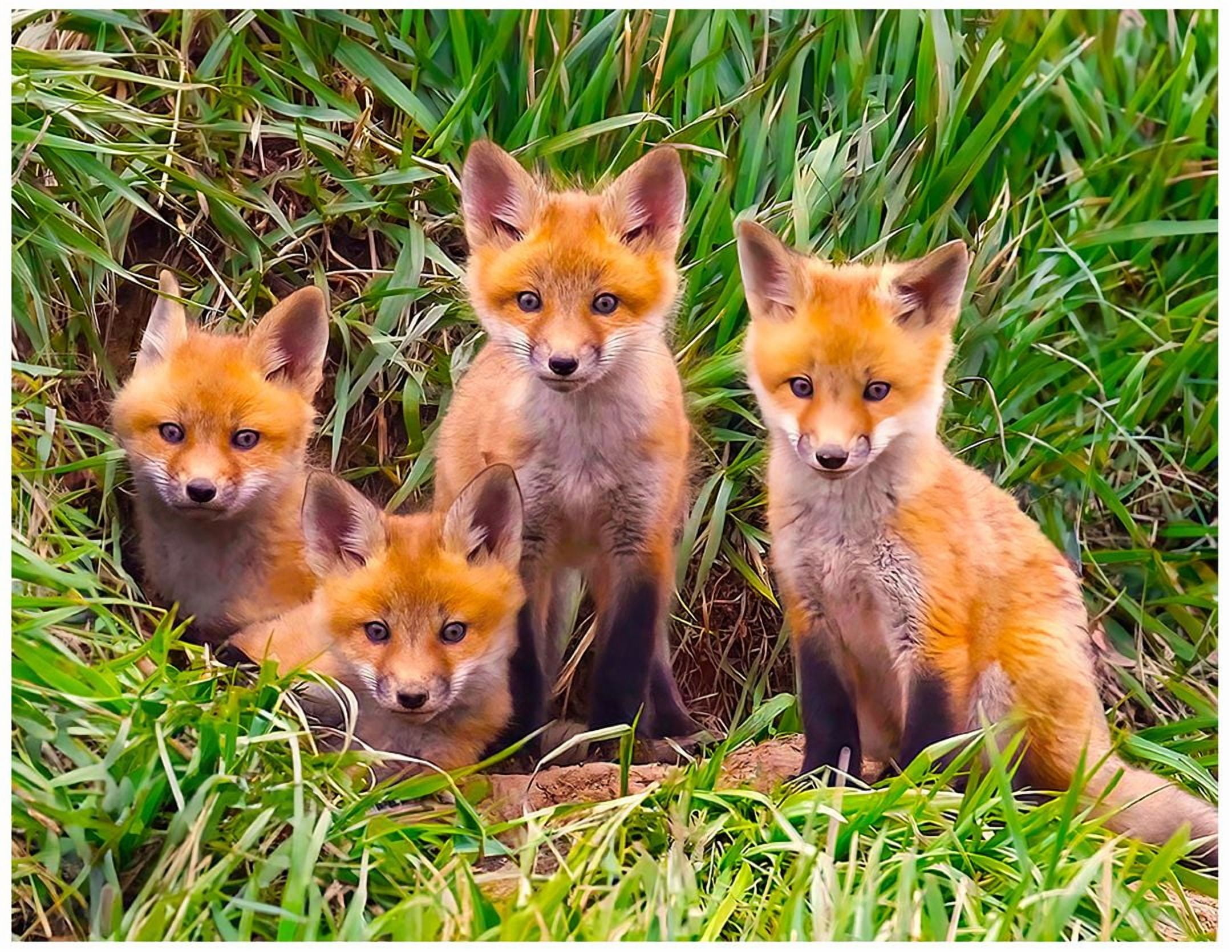 Springbok's Fox Pups Den 60 Piece Jigsaw Therapy Puzzle for Alzheimer's ...