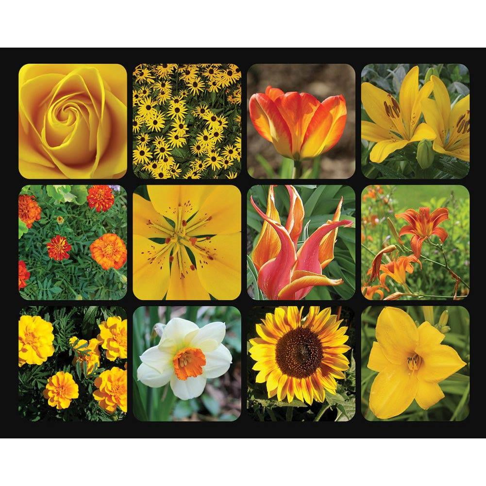Springbok Golden Blooms 1,000-Piece Jigsaw Puzzle - Walmart.com