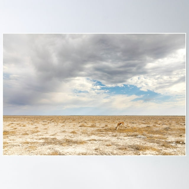 Springbok Landscape Poster Wall Art, Modern Wall Decor For Living Room ...