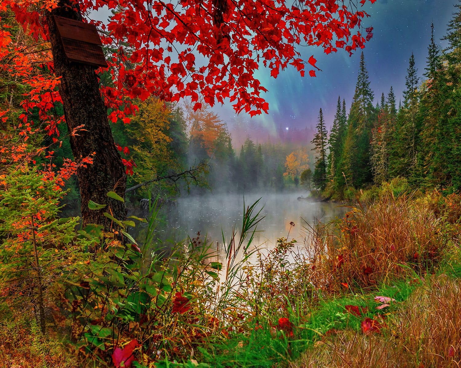 Springbok's Early Dawn on MMF7 The Lake 1000 Piece Puzzle for Adults ...