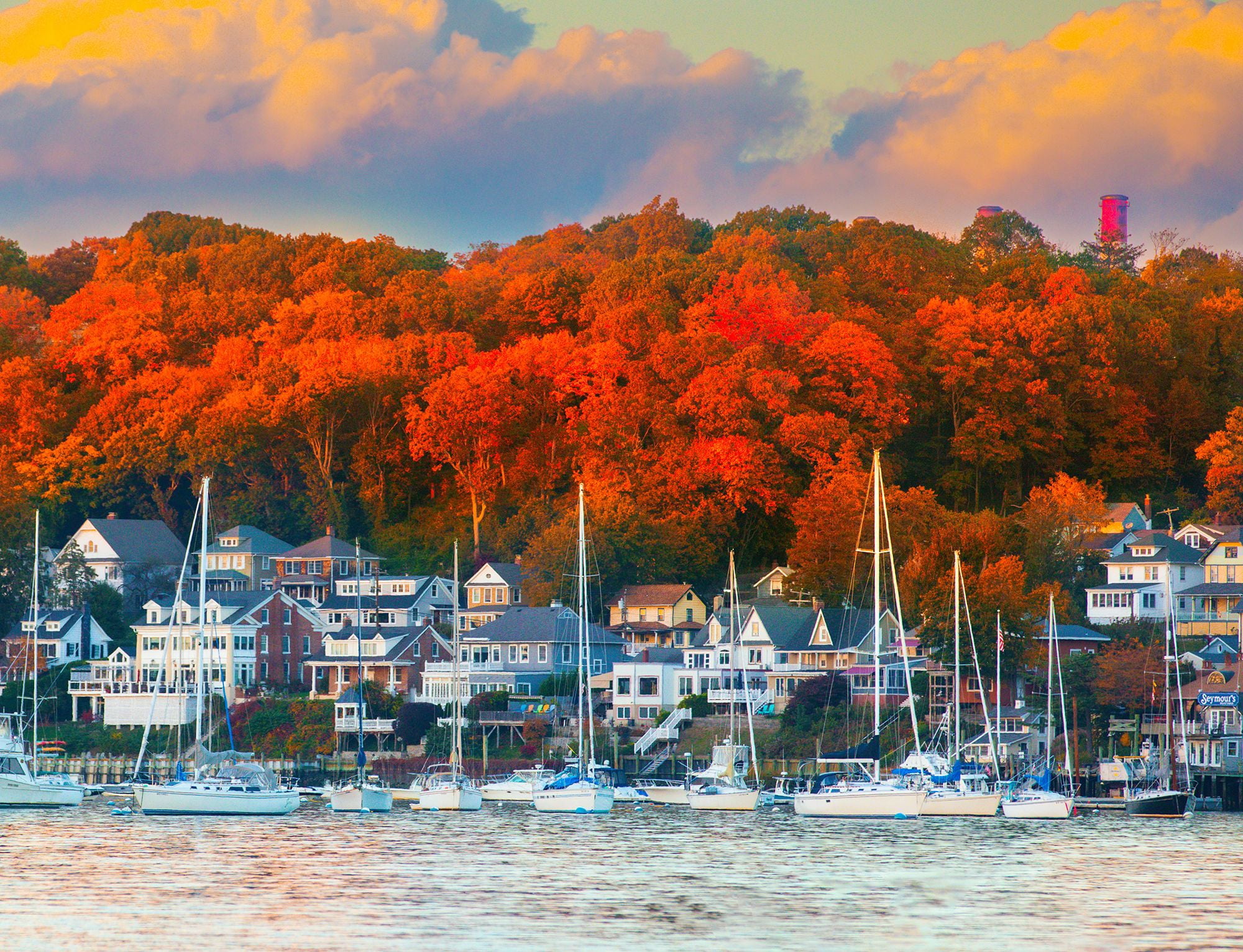 Springbok 500 Piece Harbor in the Fall Jigsaw Puzzle for Adults ...