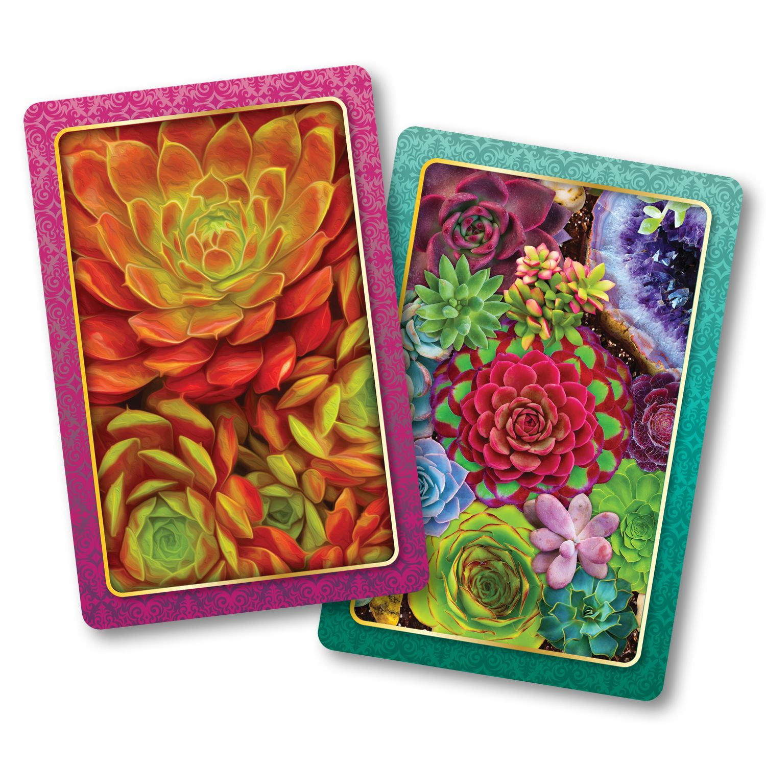 Springbok's Succulents Standard Index Playing Cards Set - Walmart.com