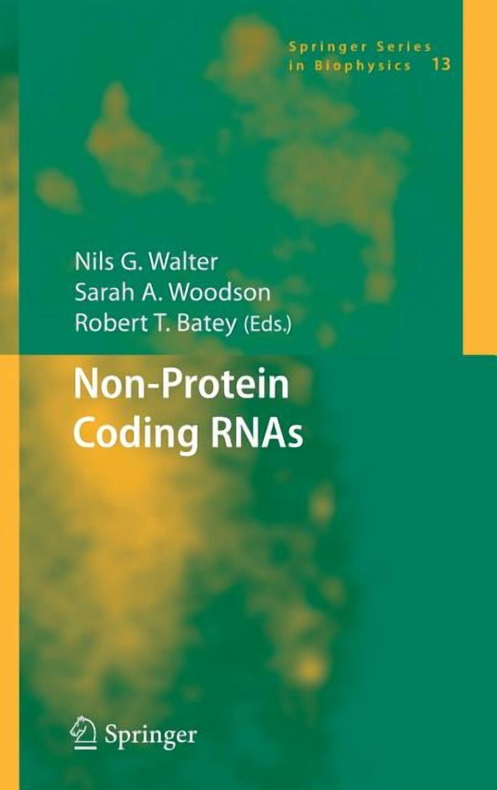Springer Biophysics Non-Protein Coding Rnas, Book 13, (Hardcover ...