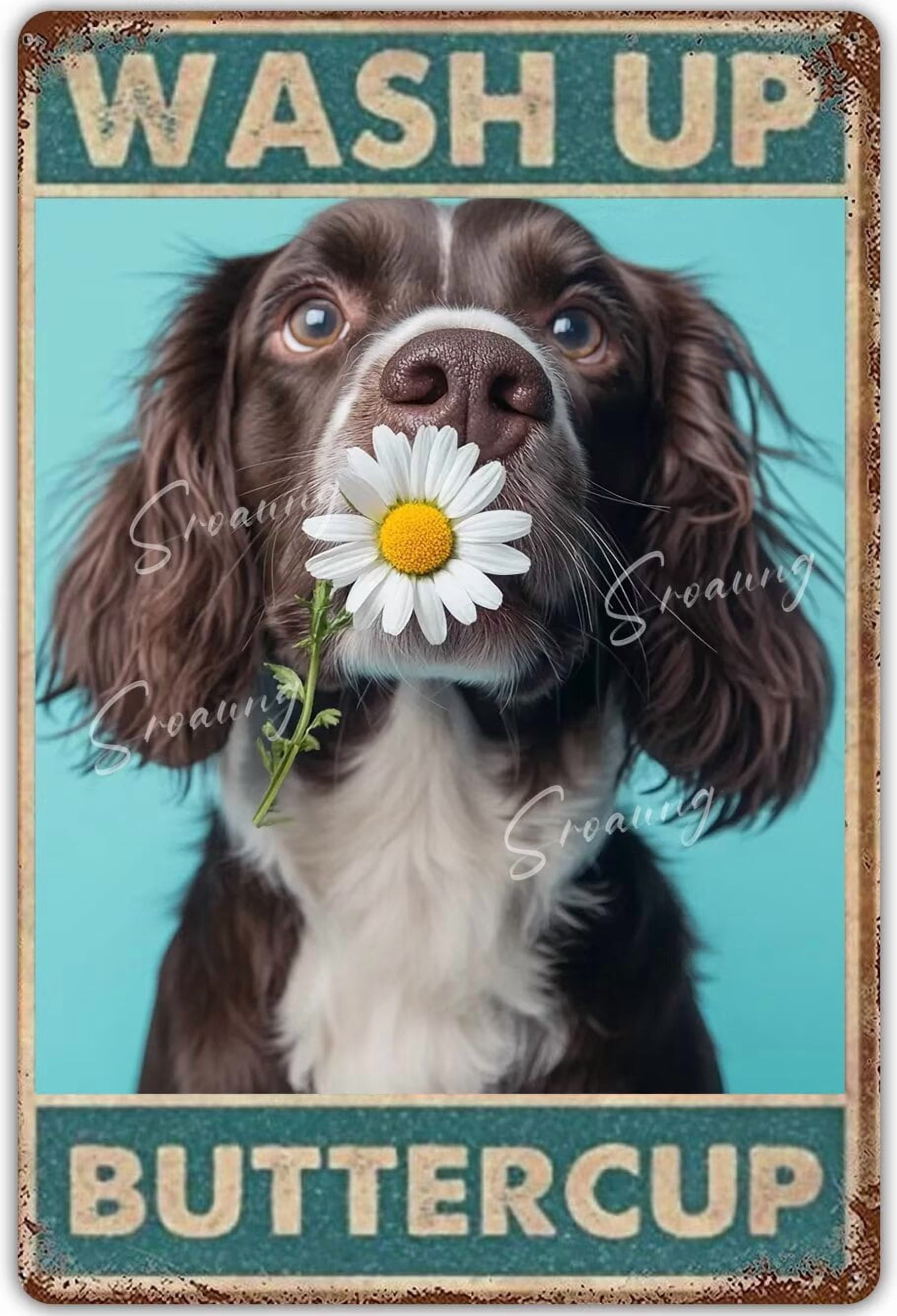 Springer Diamond Painting Kits for Adults,Wash Up Buttercup Dog 5D ...