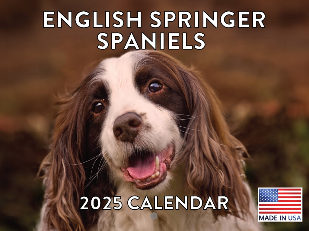 English Springer Spaniel Calendar 2025 Monthly Wall Calender 12 Month ...