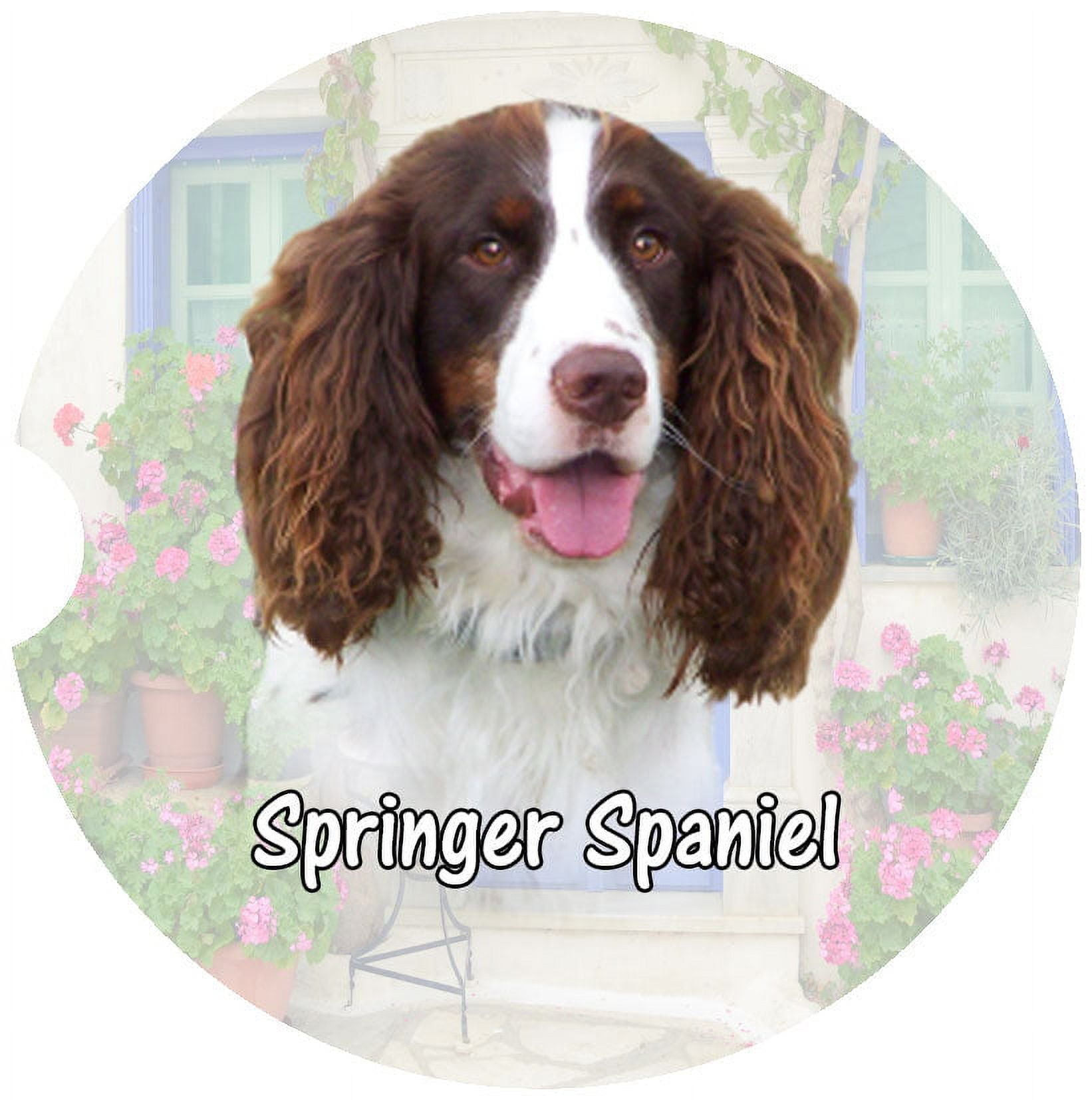 Springer Spaniel Car Coaster, Absorbent Stoneware Car Cup Holder ...